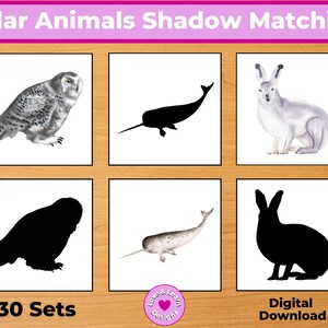 Polar Animals Shadow Matching Cards| Child Inspired Printables| Digital ...