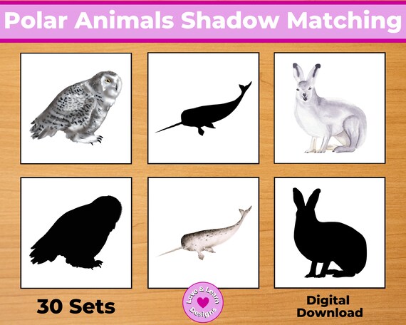 Polar Animals Shadow Matching Cards Child Inspired - Etsy