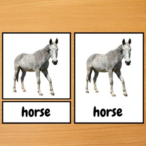 Farm 3 Part Cards| Child Inspired Printable| Educational Digital ...