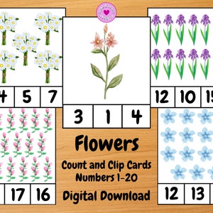 Flowers Count and Clip Cards| Printable Digital Download| Montessori ...