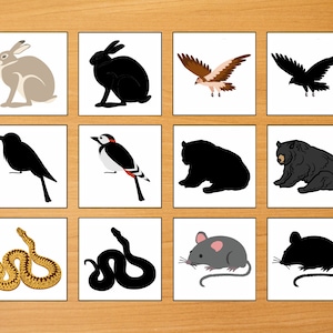 Woodland Animals Activity Bundle| Child Inspired Printables| Digital ...