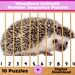 Woodland Animals Number Sequence Puzzles| Child Inspired Printables ...