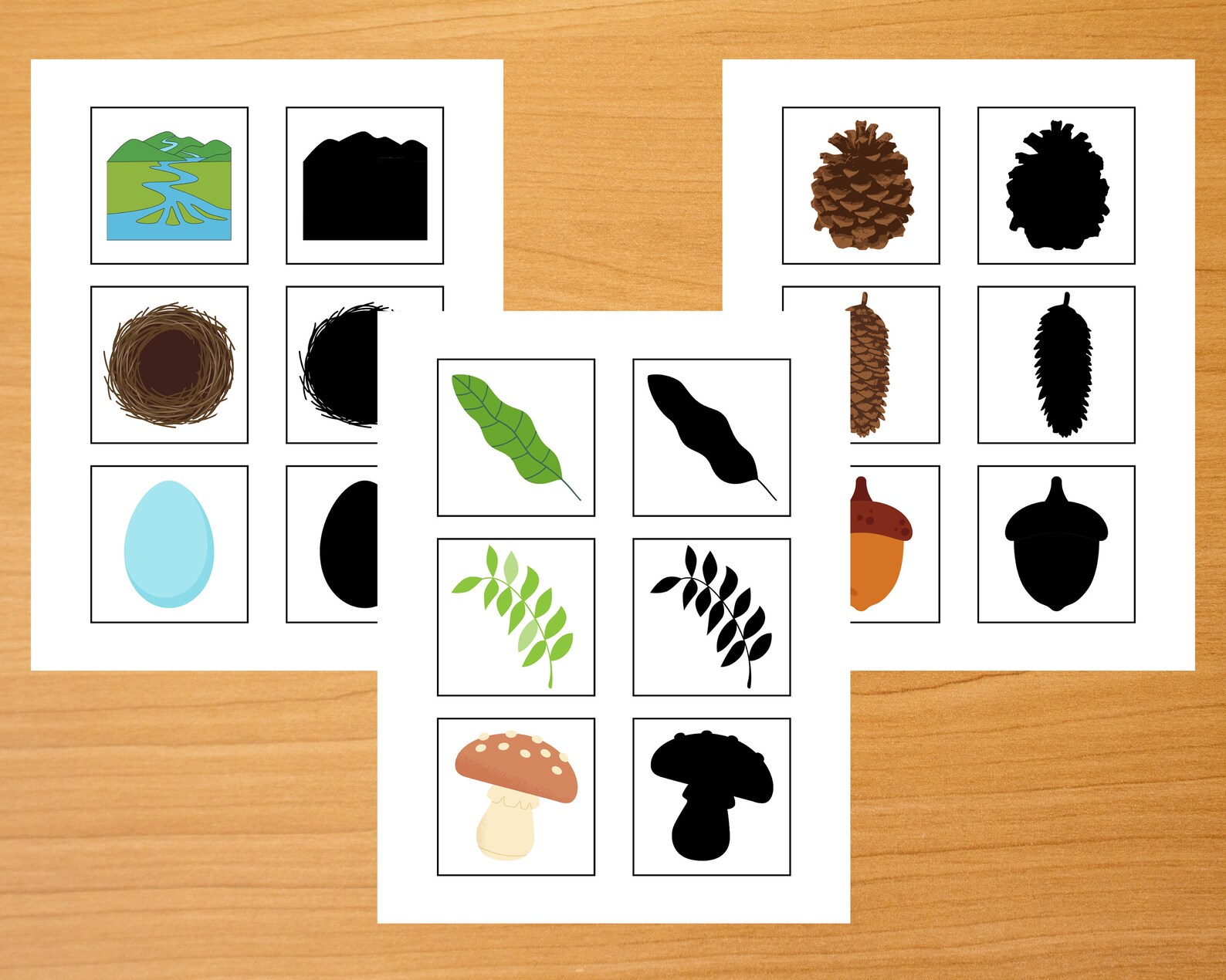 Nature Shadow Matching Cards Printable Digital Download| Montessori ...