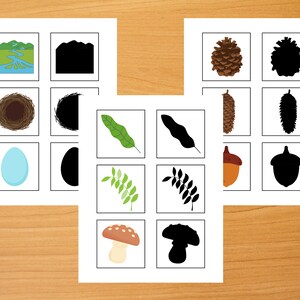 Nature Shadow Matching Cards Printable Digital Download| Montessori ...