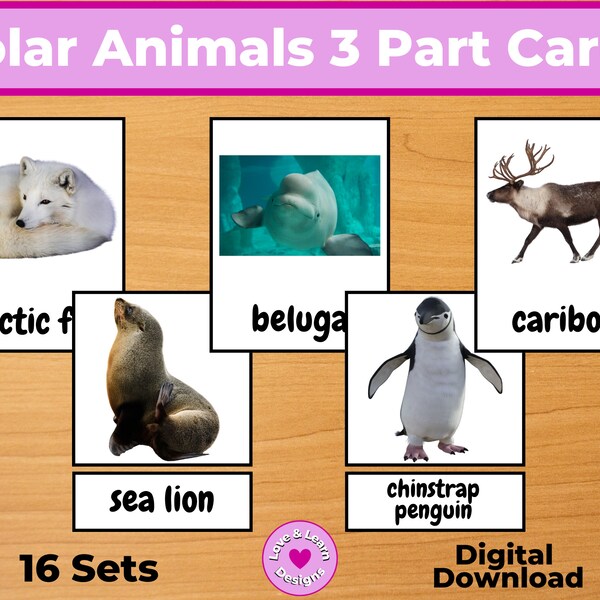 Montessori Match Cards - Etsy