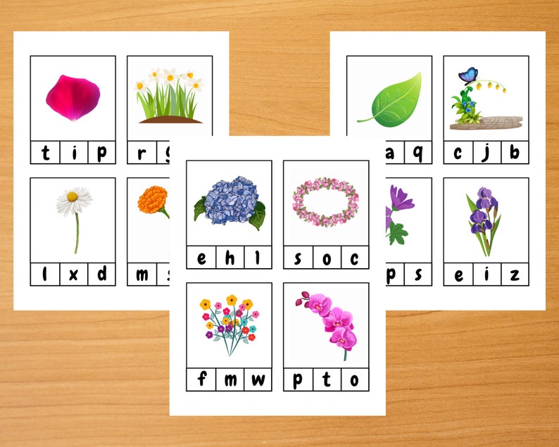 Flowers Beginning Letter Sound Clip Cards| Printable Digital Download ...