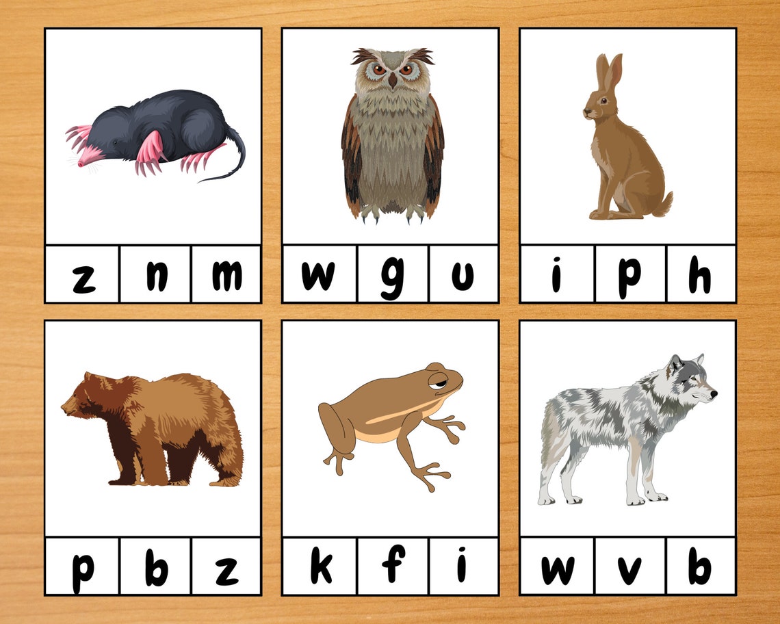 Woodland Animal Beginning Letter Sound Clip Cards Printable - Etsy