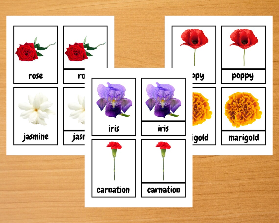 Flower Theme 3 Part Cards| Printable Digital Download| Montessori ...