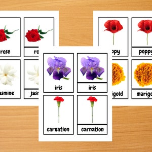 Flower Theme 3 Part Cards| Printable Digital Download| Montessori ...