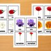 Flower Theme 3 Part Cards Printable Digital Download Montessori ...