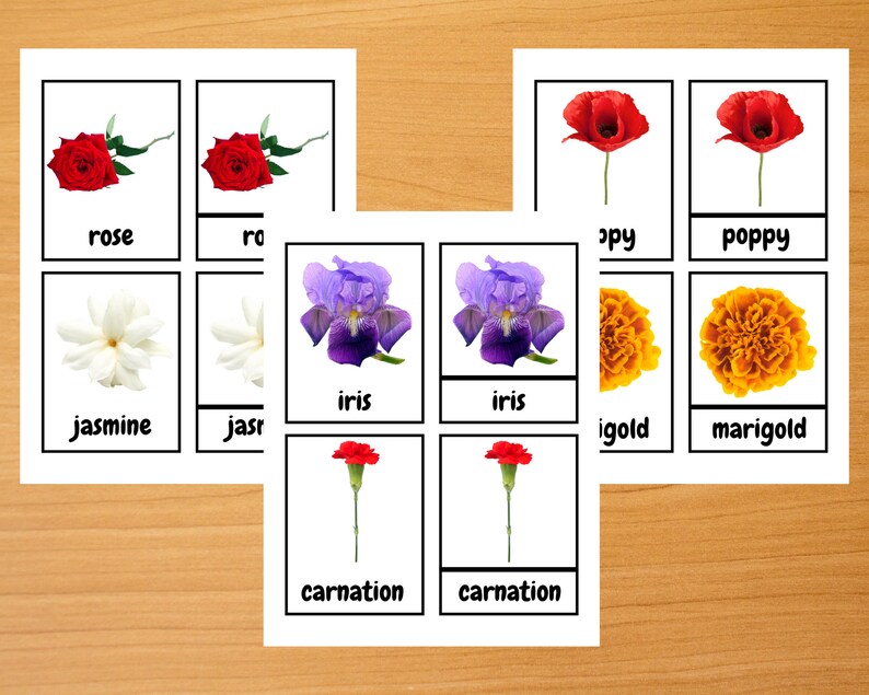 Flower Theme 3 Part Cards| Printable Digital Download| Montessori ...
