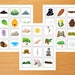 Nature I Spy Matching Game| Digital Download| Printable Play Based ...