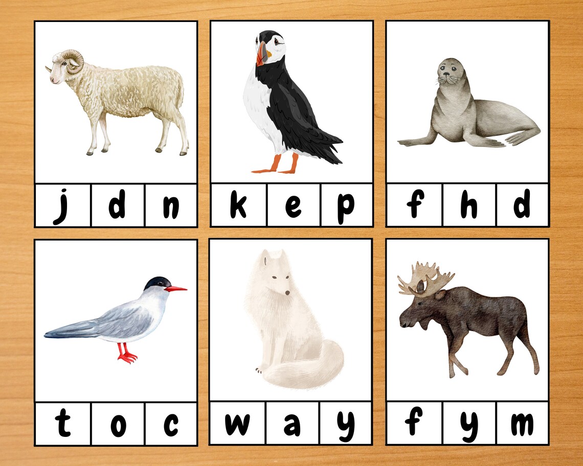 Polar Animals Beginning Letter Sound Clip Cards| Child Inspired ...
