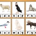 Polar Animals Beginning Letter Sound Clip Cards| Child Inspired ...