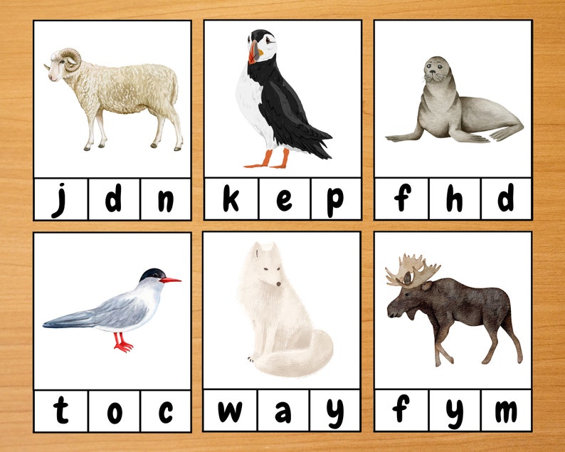 Polar Animals Beginning Letter Sound Clip Cards| Child Inspired ...
