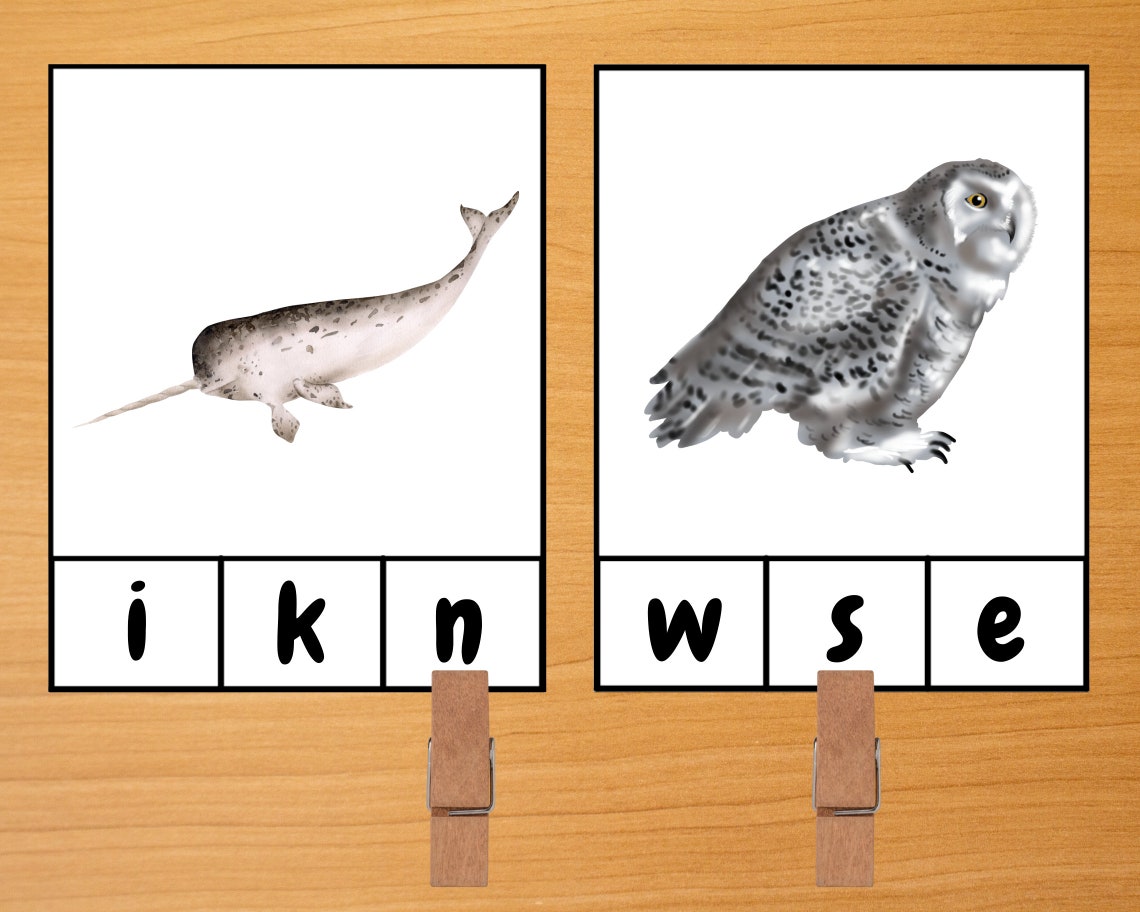 Polar Animals Beginning Letter Sound Clip Cards| Child Inspired ...