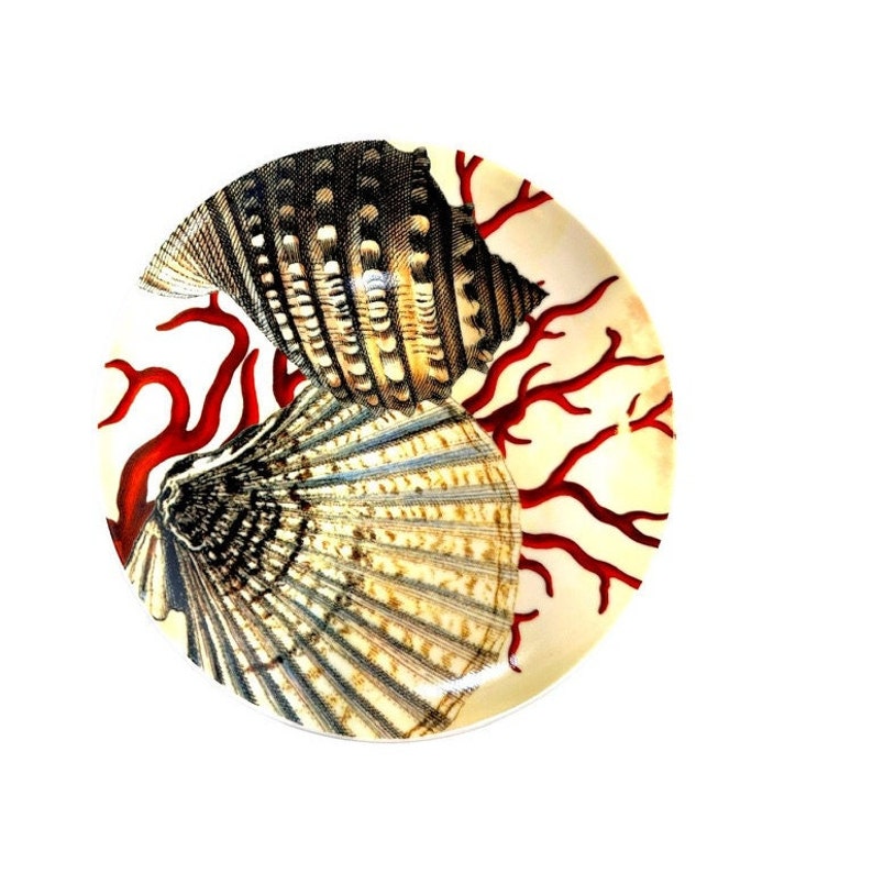 1980s Pottery Barn Coastal Curiosity Postcard Shell & Corals Salad ...