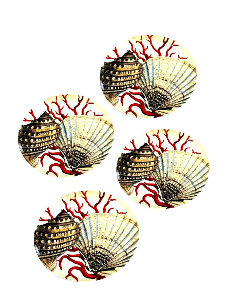 1980s Pottery Barn Coastal Curiosity Postcard Shell & Corals Salad ...