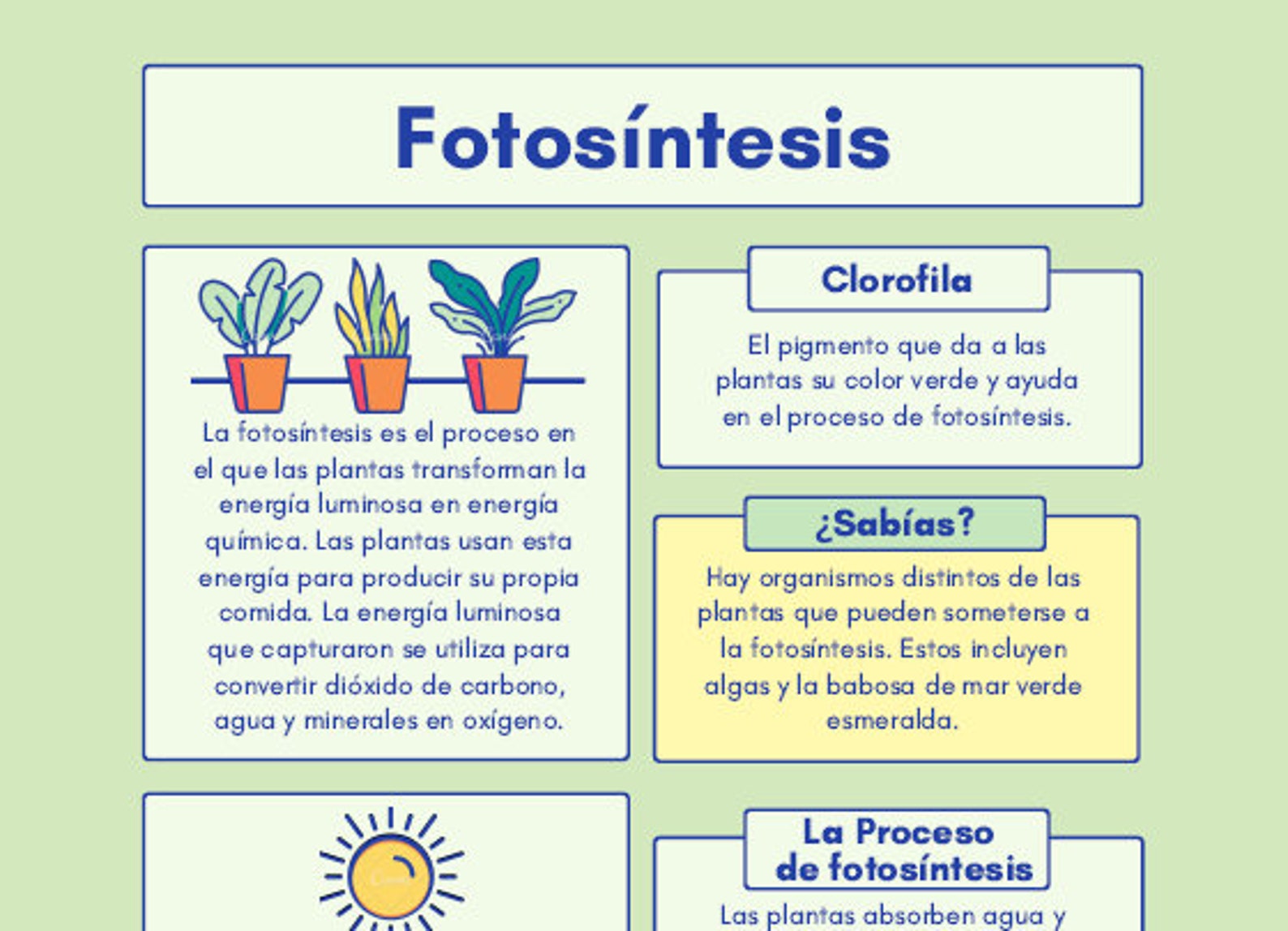 Photosynthesis Worksheet for Kids in Spanish _ Science - Etsy