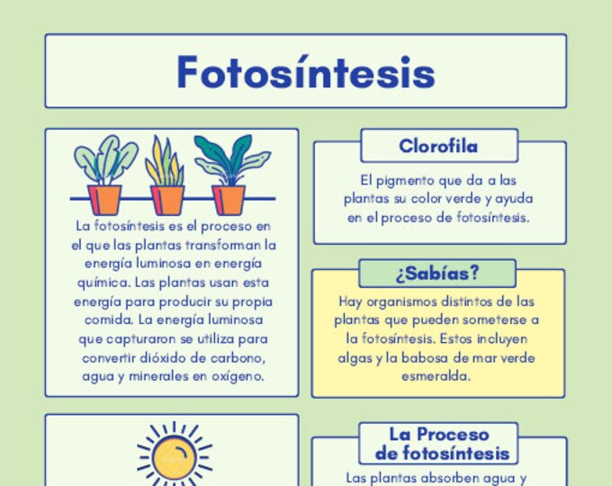 Photosynthesis - Worksheet for Kids in Spanish _ Science - Etsy