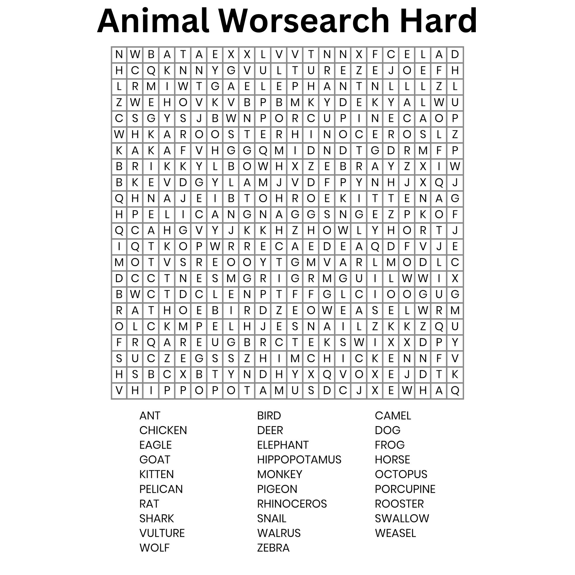 Word Search Animal Word Search Bundle Printable PDF Word Search Digital ...