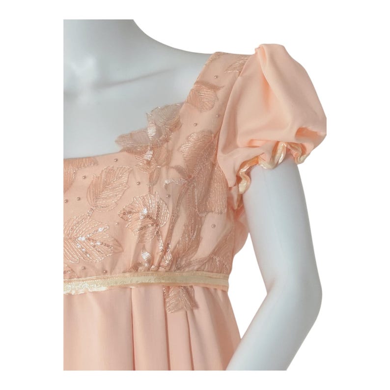 Handmade Regency Dress: Embroidered Lace & Chiffon Gown - Etsy