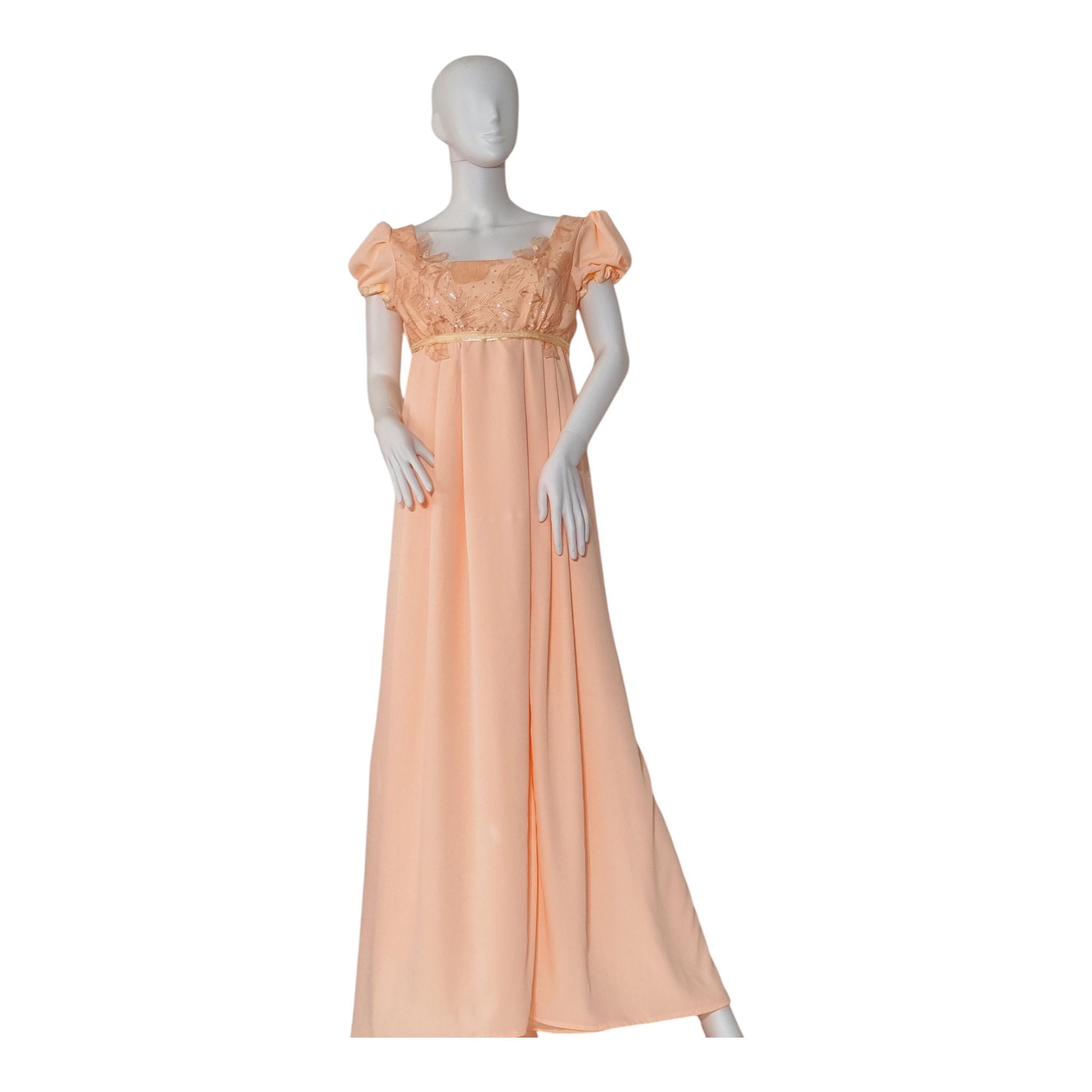 Handmade Regency Dress: Embroidered Lace & Chiffon Gown - Etsy
