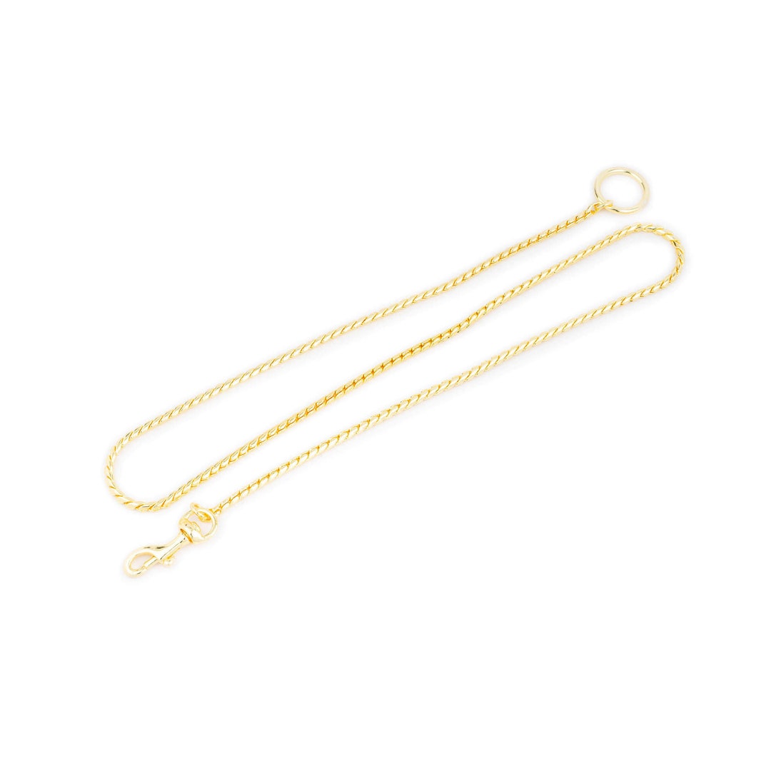 Dog Show Lead - 3 Mm Snake Chain Dog Leash Conformation - Brass Gold ...