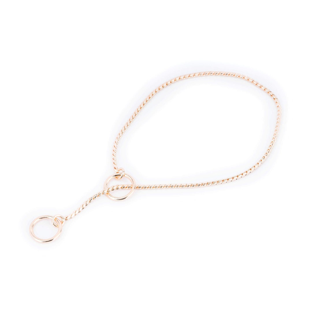 Choke Collar Dog - Luxury Show Collar - 2.5 Mm Snake Chain Collar ...