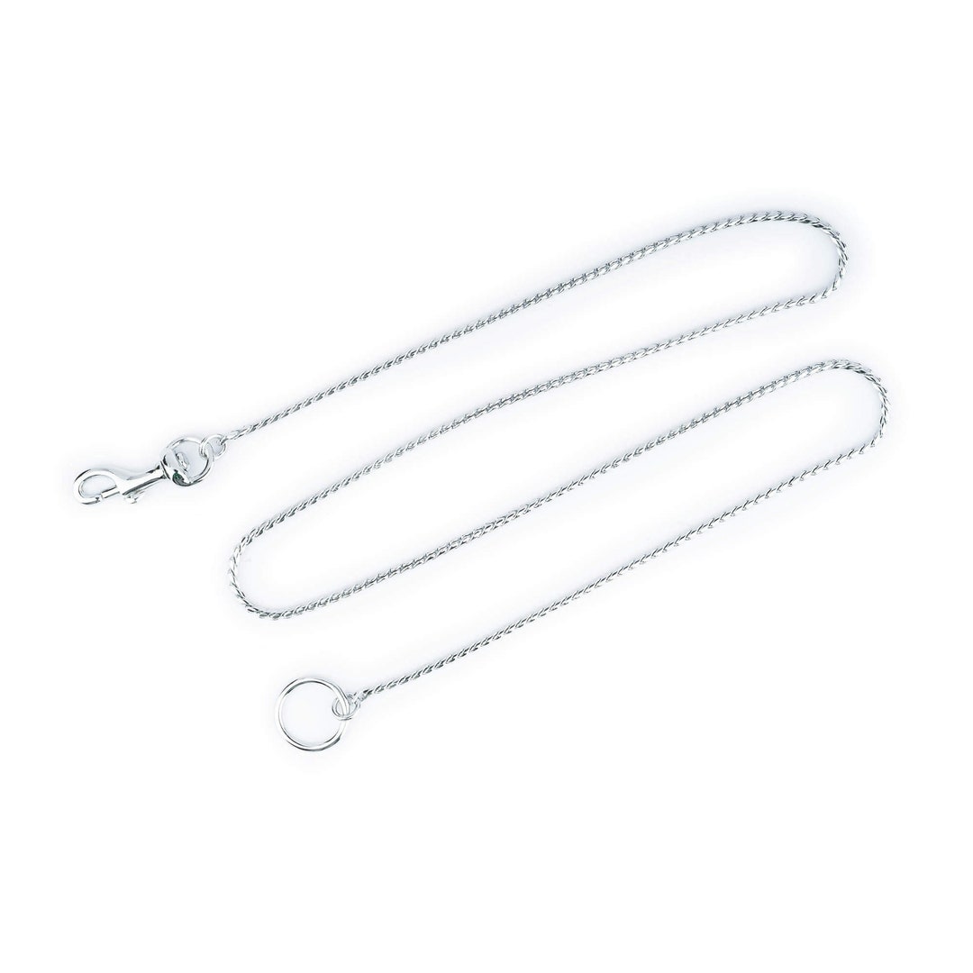 Dog Show Lead - 3 Mm Snake Chain Dog Leash Conformation - Brass Silver ...