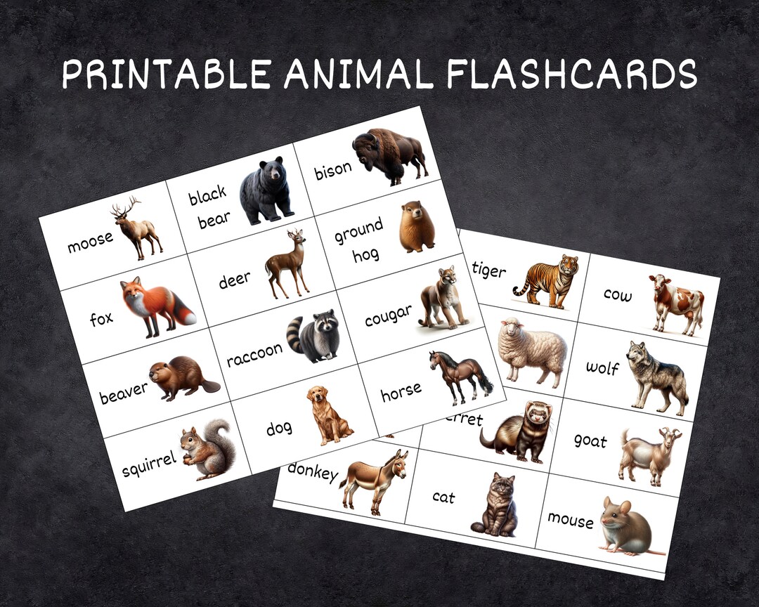 Printable Animal Flashcards / Kids Flashcards / Homeschool / Preschool ...