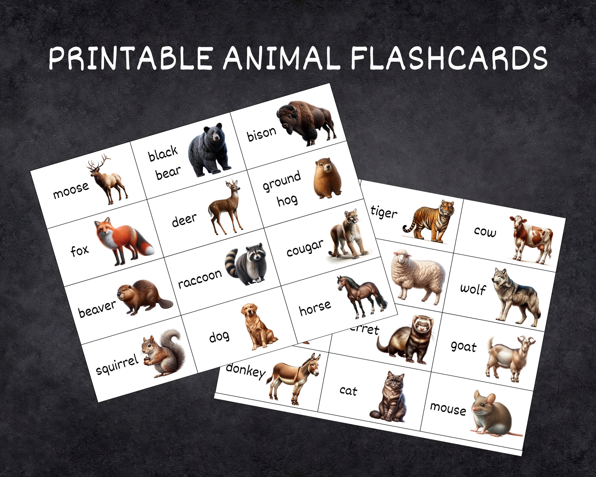Printable Animal Flashcards / Kids Flashcards / Homeschool / Preschool ...