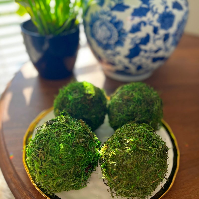 Moss Balls - Etsy
