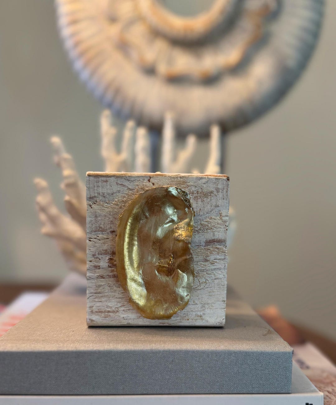 Oyster Shell Decor Wooden Block Art Coastal Decor Table Display Ready ...