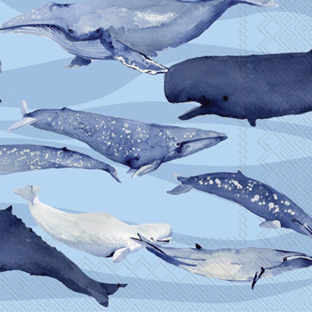 Decoupage Paper Napkin Whales Ephemera Scrapbooking Card Making Collage ...