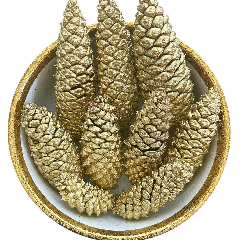 Gold Pine Cones - Etsy