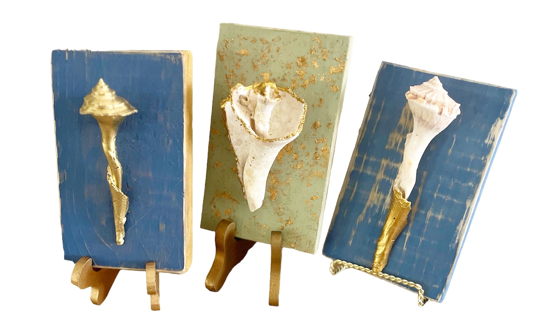 Sea Shell Art Decor Gold Leaf Trimmed Sea Shell Table Display Coastal ...