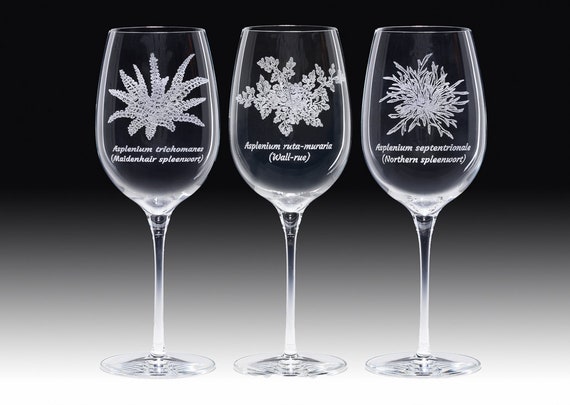 Laser Engraved Fern Wine Glasses Set of Three Fern Wine | Etsy