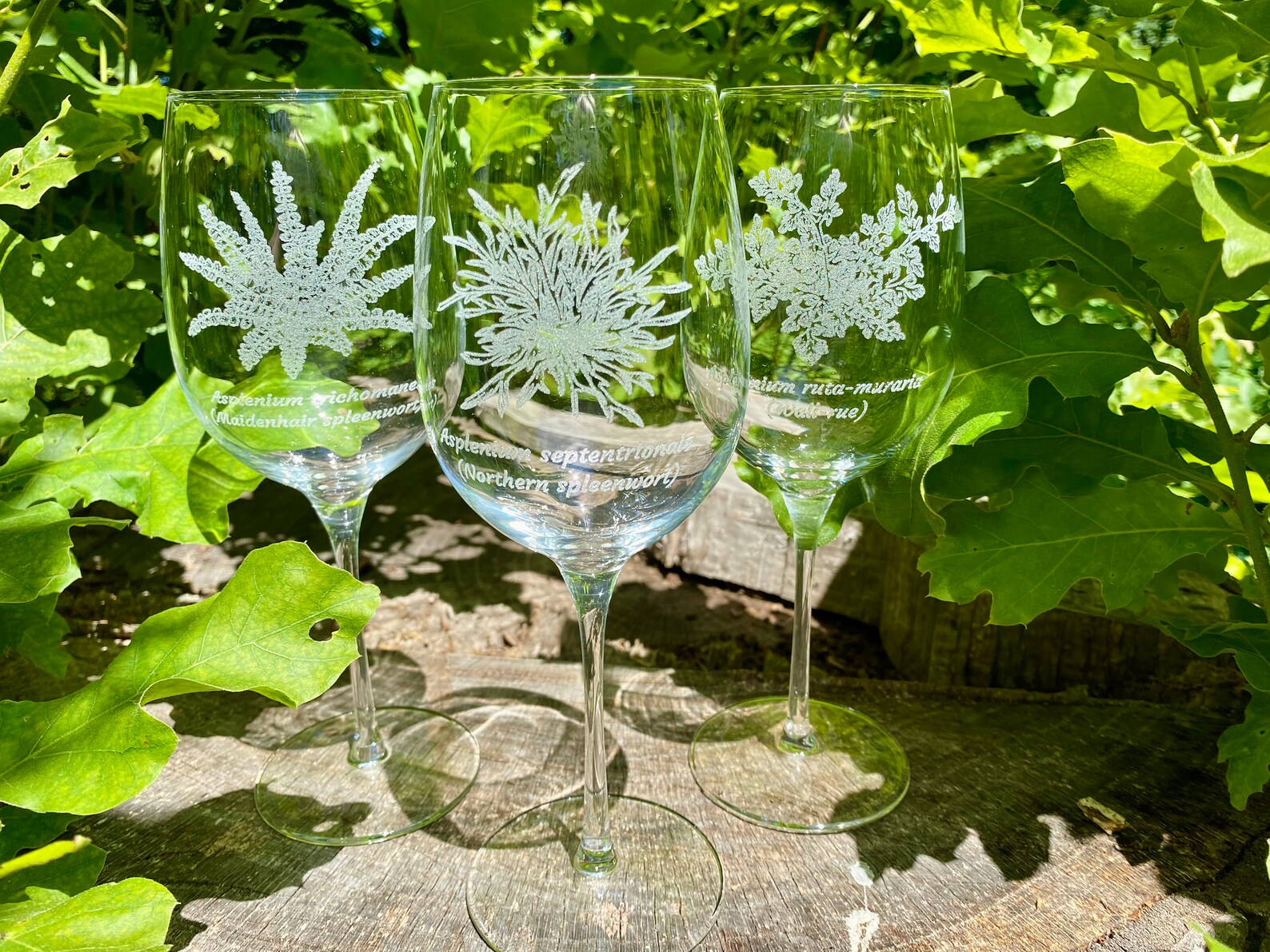 Laser Engraved Fern Wine Glasses, Set of Three, Wine Glass Gift Set, 16 ...