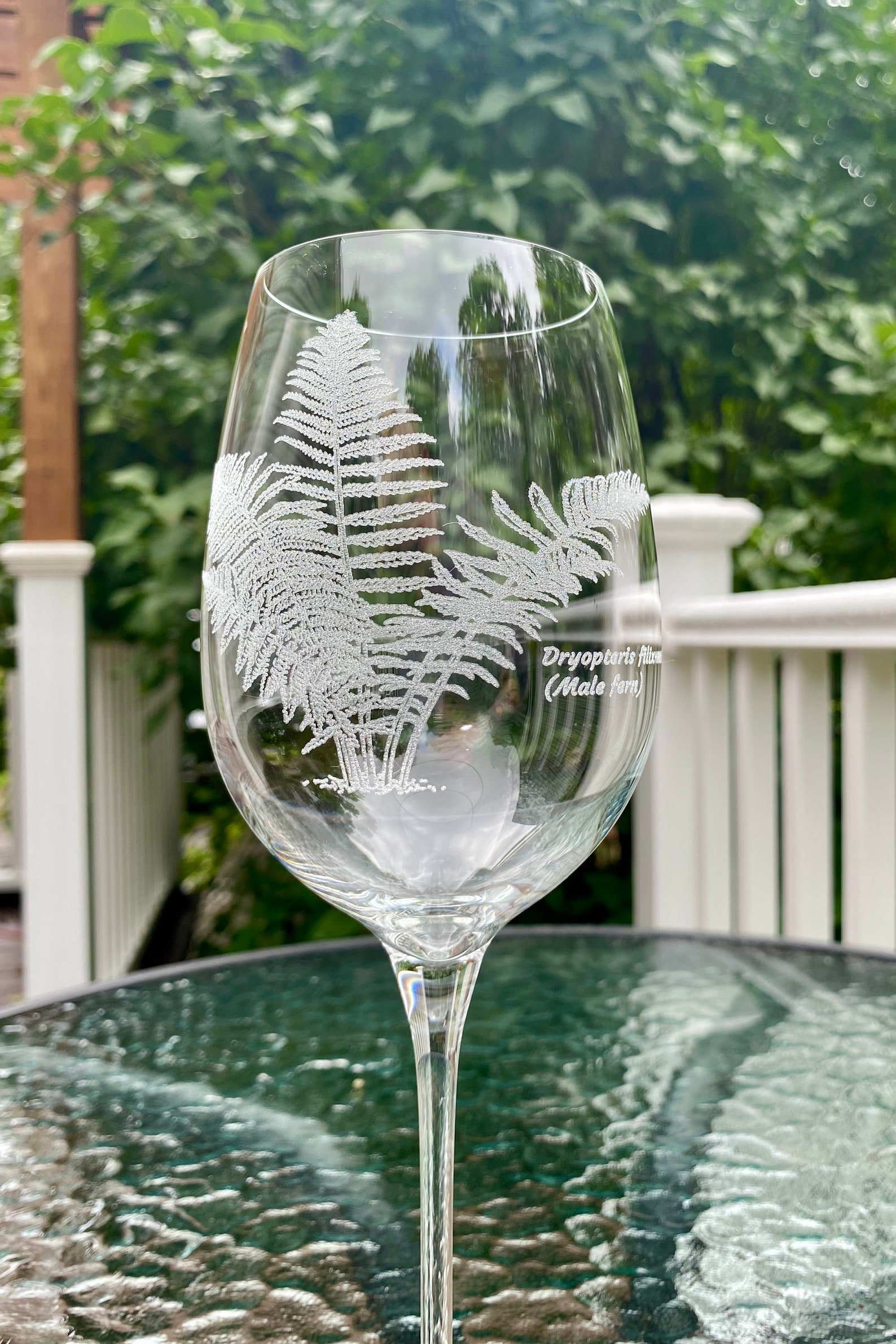 Laser Engraved Fern Wine Glass, Male Fern, Nature Themed Gift, 16 Oz - Etsy