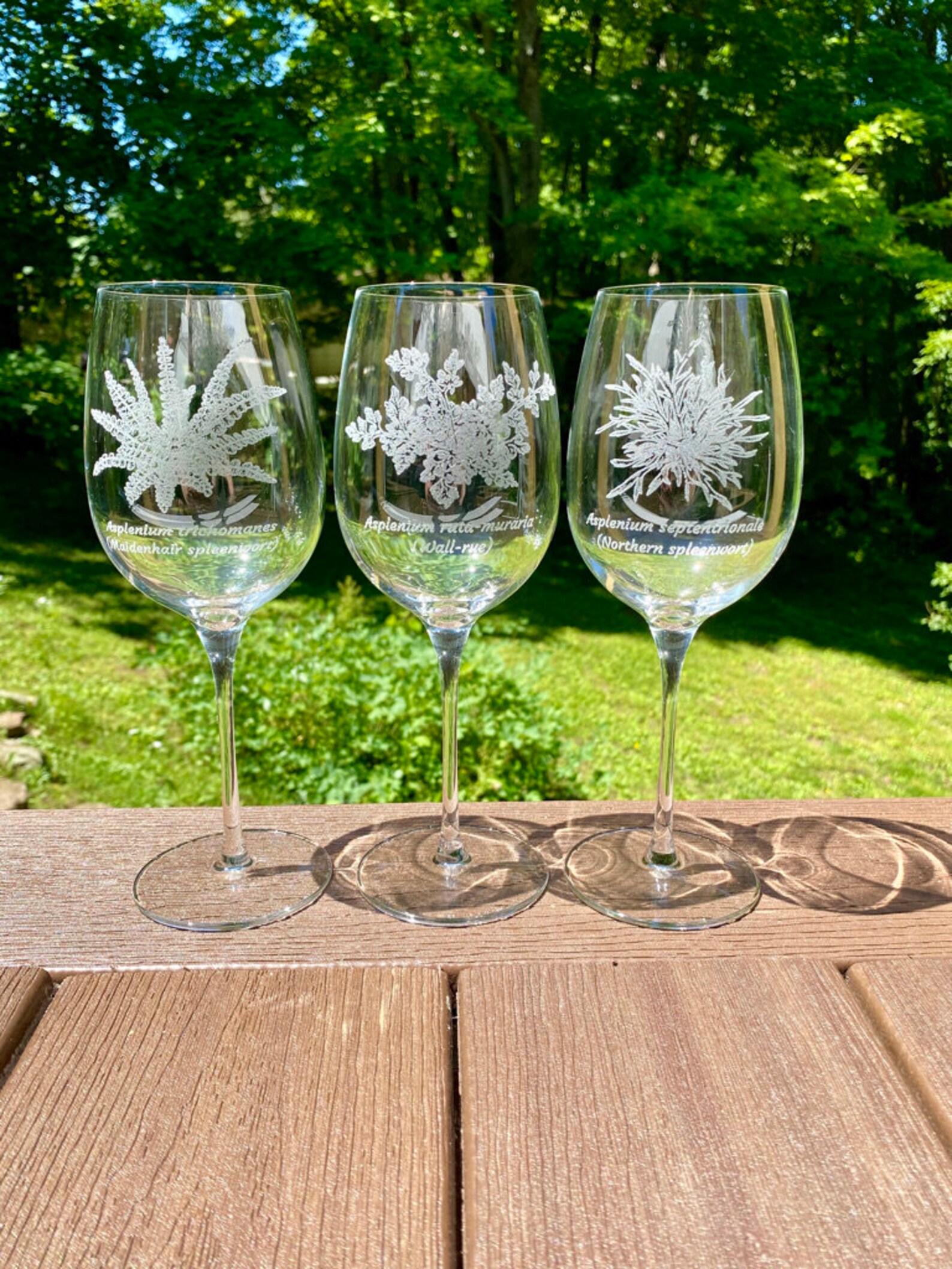 Laser Engraved Fern Wine Glasses, Set of Three, Wine Glass Gift Set, 16 ...