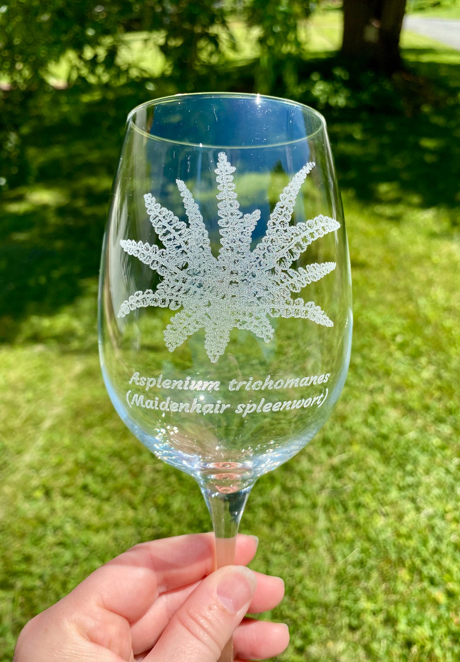 Laser Engraved Fern Wine Glasses, Set of Three, Wine Glass Gift Set, 16 ...