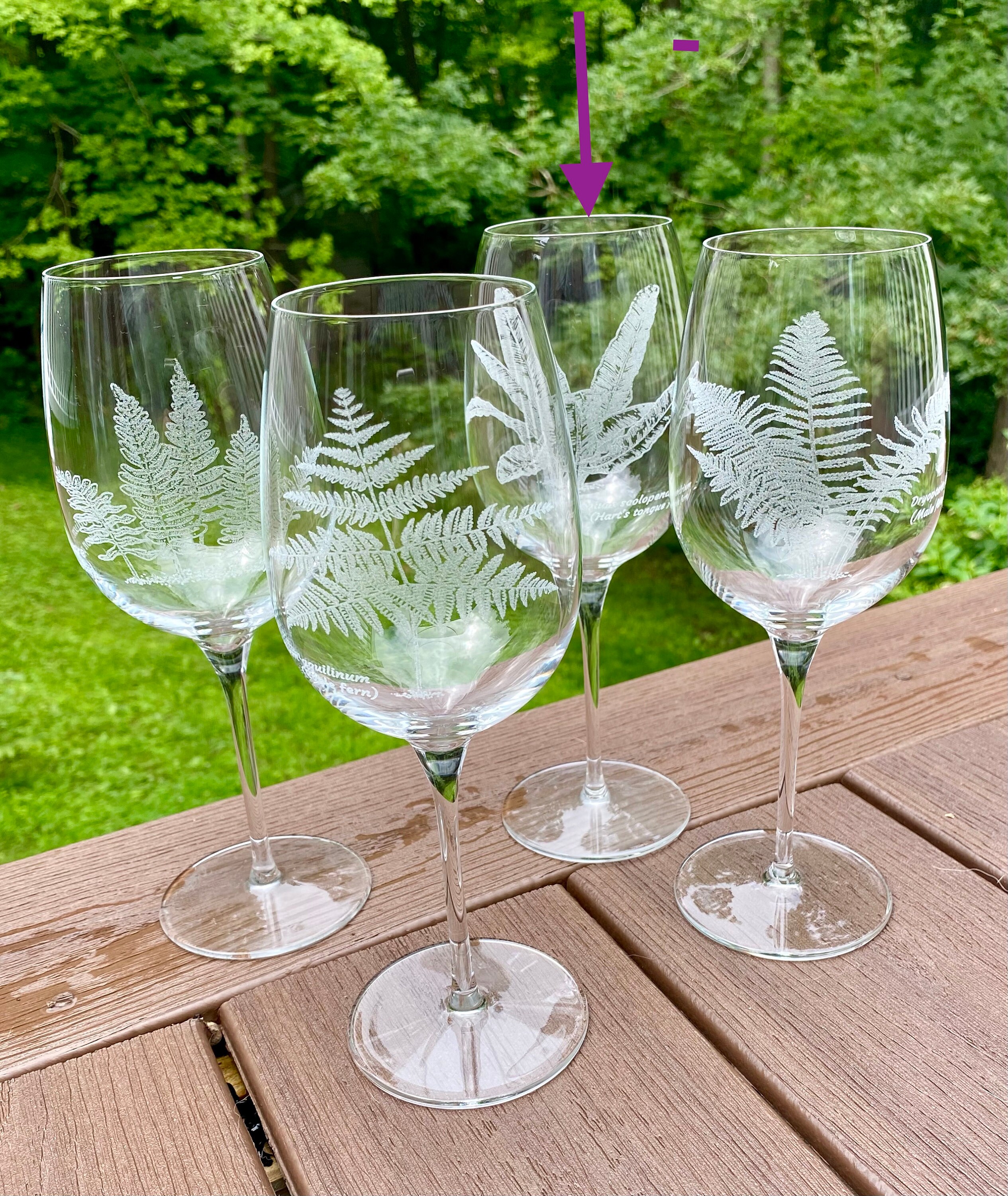Laser Engraved Fern Wine Glass, Harts Tongue Fern, Fern Themed Gift, 16 ...