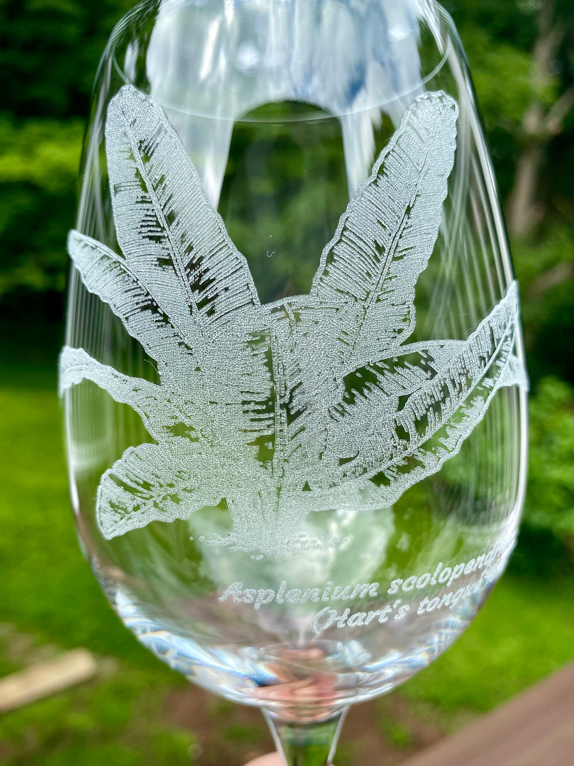 Laser Engraved Fern Wine Glass, Harts Tongue Fern, Fern Themed Gift, 16 ...