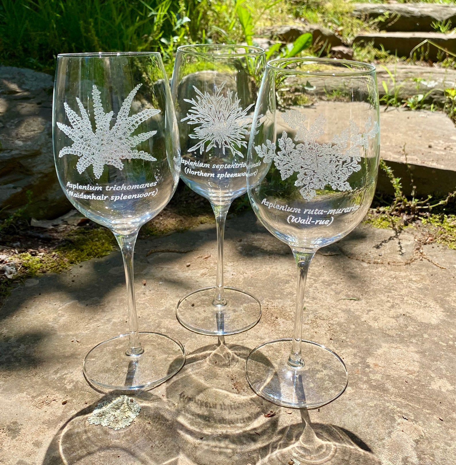 Laser Engraved Fern Wine Glasses, Set of Three, Wine Glass Gift Set, 16 ...