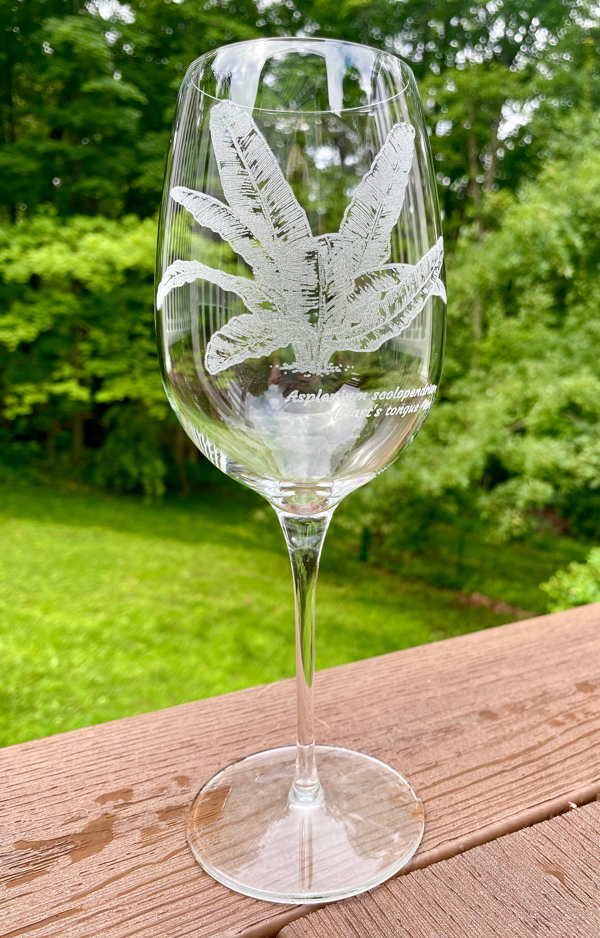Laser Engraved Fern Wine Glass, Harts Tongue Fern, Fern Themed Gift, 16 ...