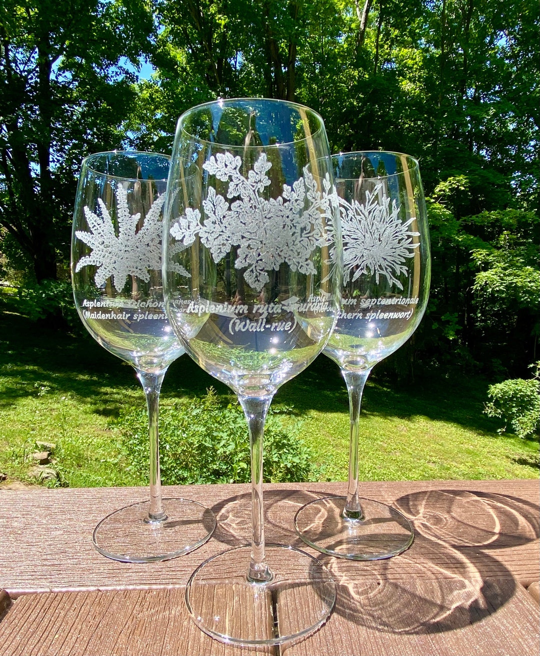 Laser Engraved Fern Wine Glasses, Set of Three, Wine Glass Gift Set, 16 ...
