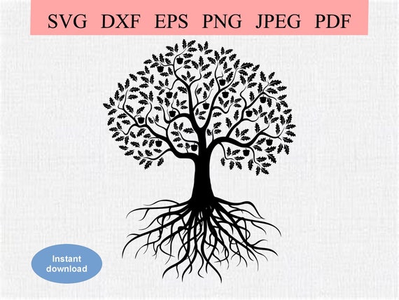 Oak Tree Root System