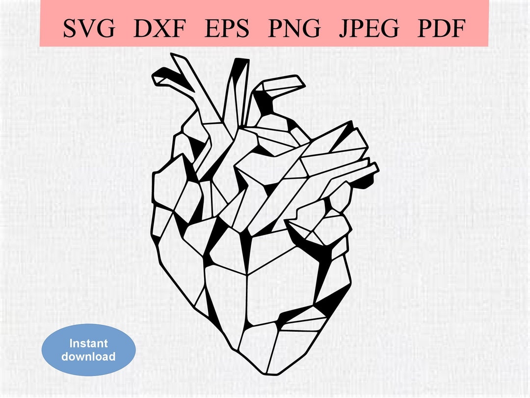 Geometric Anatomical Heart / SVG DXF EPS / Abstract Real Heart With ...