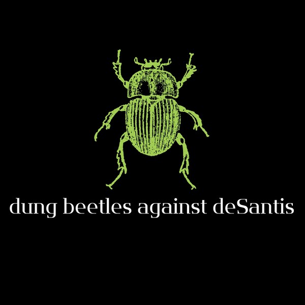 Anti Ron Desantis - Etsy